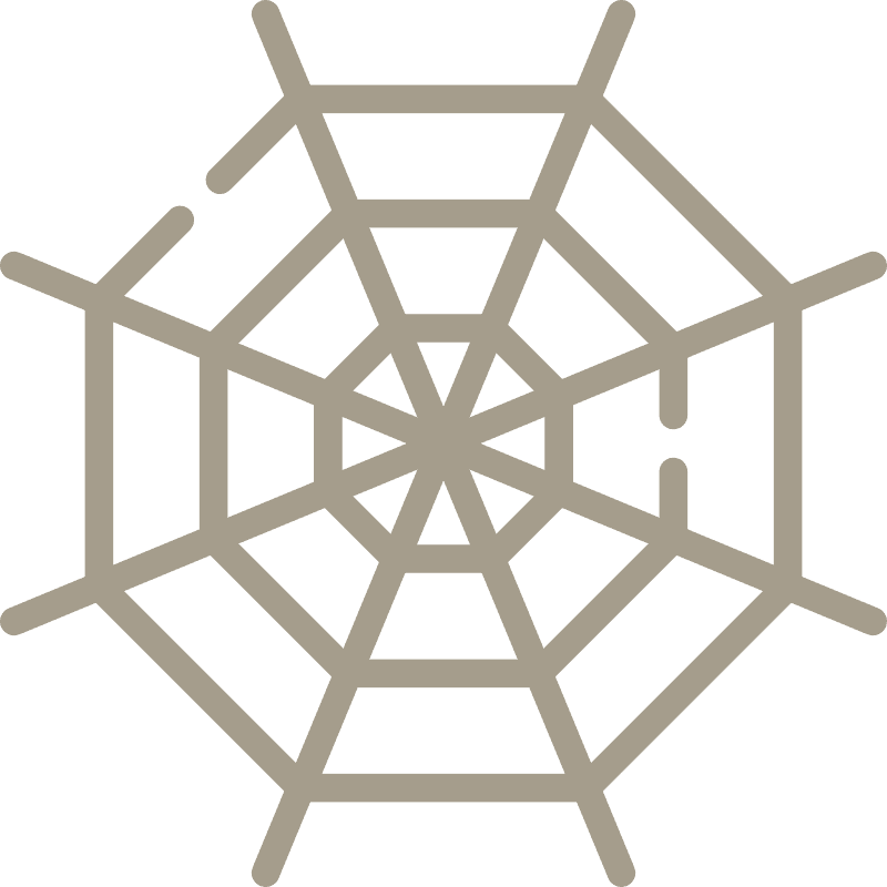 [100+] Spider Web Background s | Wallpapers.com