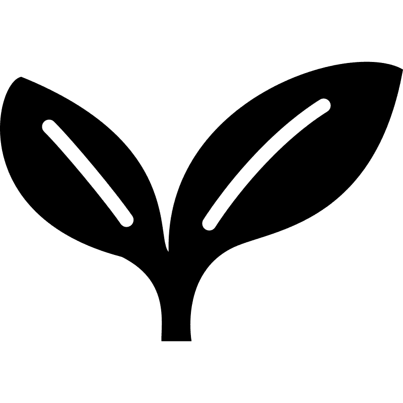 [500+] Leaf Background s | Wallpapers.com