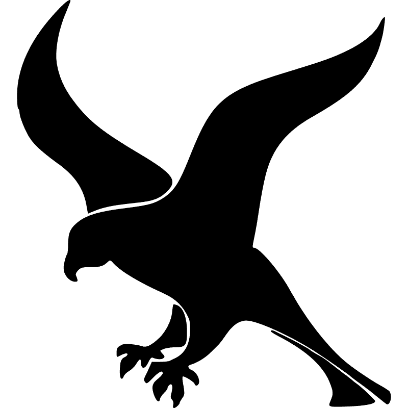 [100+] Falcon Wallpapers | Wallpapers.com