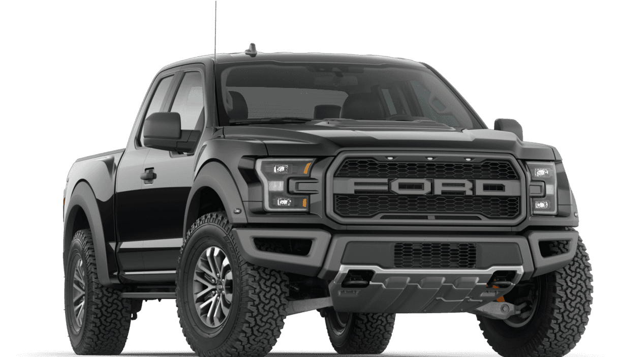 [100+] Raptor Wallpapers | Wallpapers.com