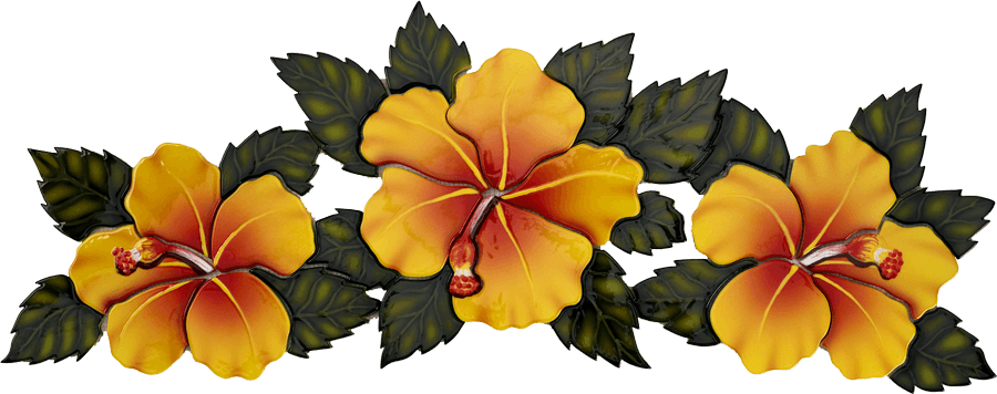 [100+] Hibiscus Flower Wallpapers | Wallpapers.com