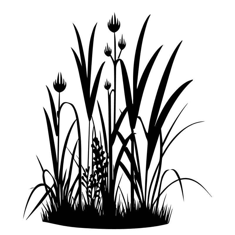 [100+] Pot Leaf Pictures | Wallpapers.com