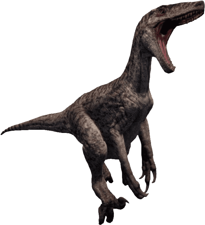 [100+] Raptor Wallpapers | Wallpapers.com